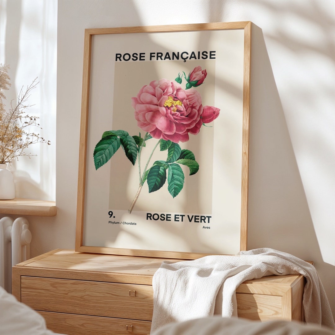 Vintage French Rose Art Print: Botanical Floral Wall Decor - Etsy UK