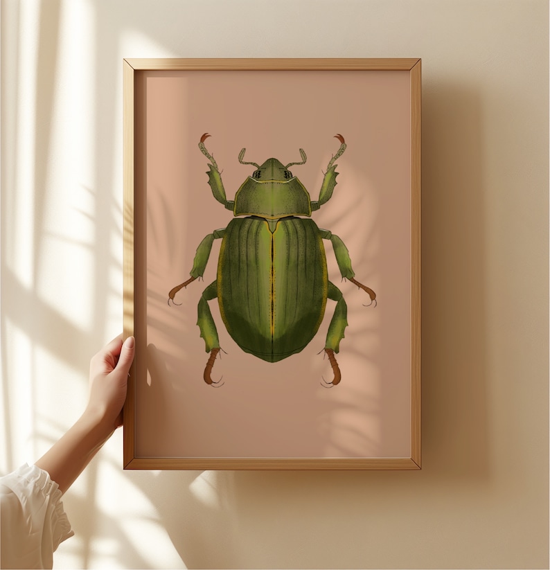 Rose Chafer Beetle Art Print: Vintage Entomological Illustration - Etsy UK