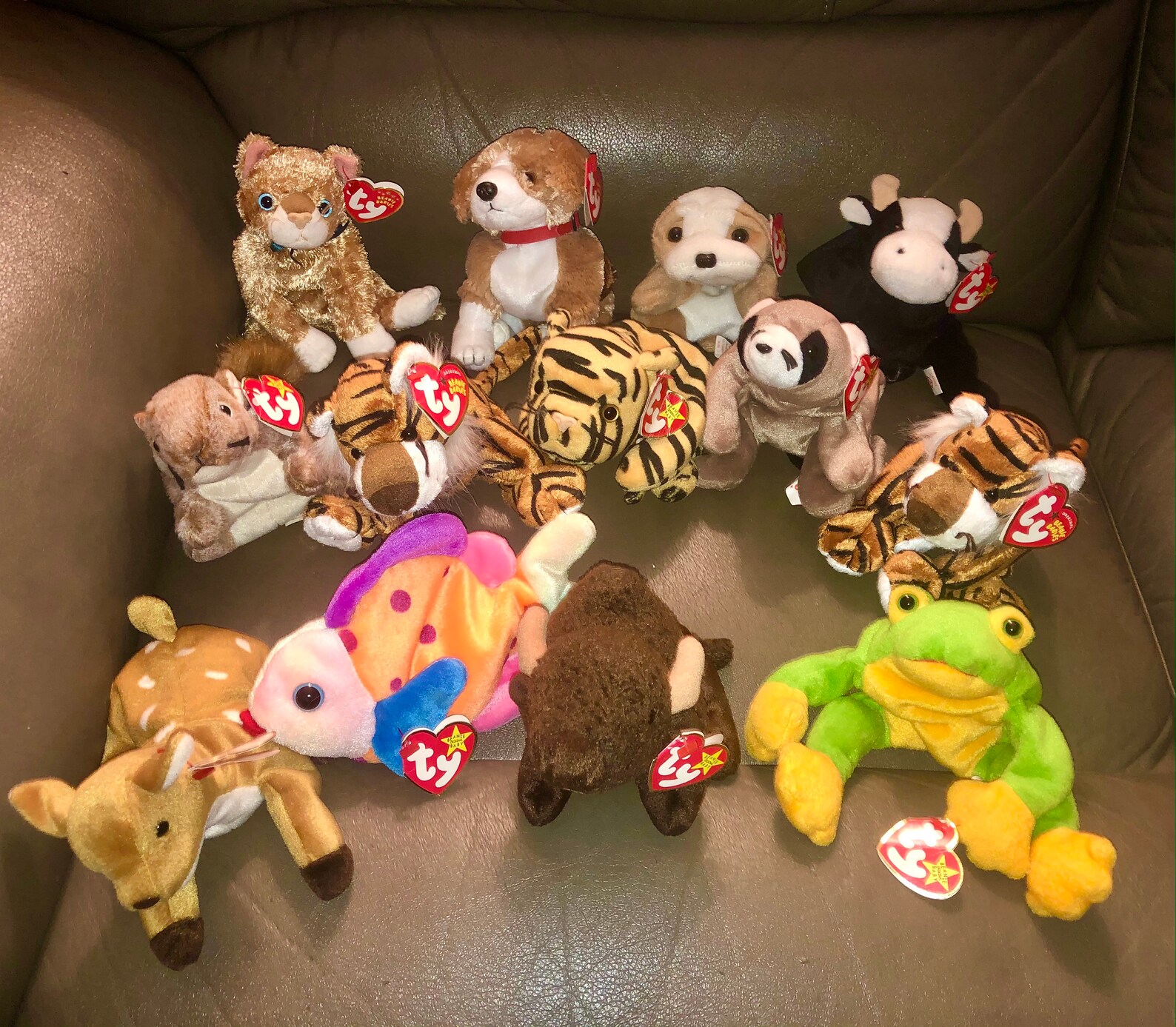 64-Ty Beanie Babies Collection/Ty Beanies/Beanie Kids/Ty Attic | Etsy