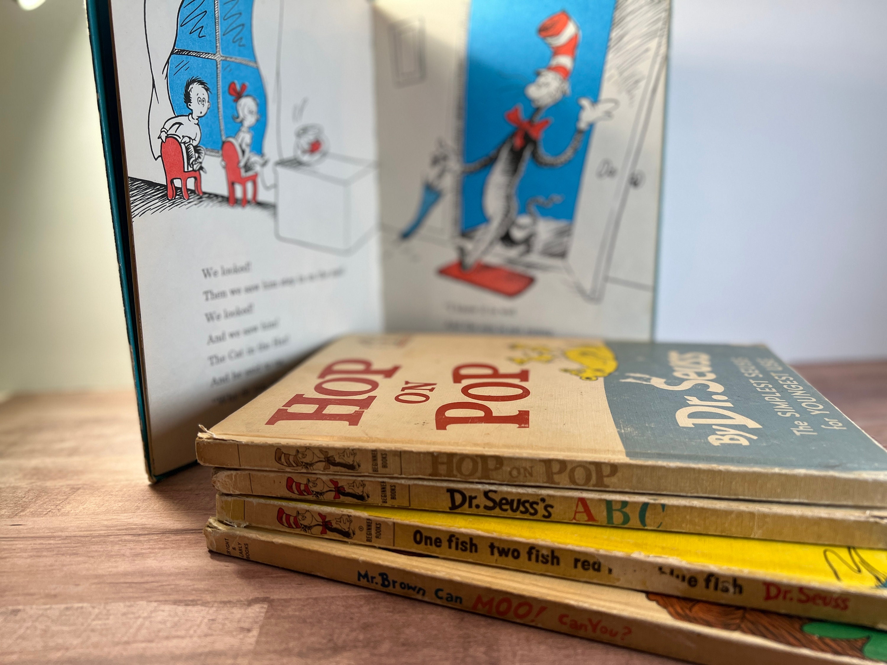 Vintage Dr. Seuss Picture Books - Etsy