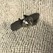 ND Mazda Miata MX5 Enamel Auto Lapel Pin DARK GRAY Collect Them! - Etsy