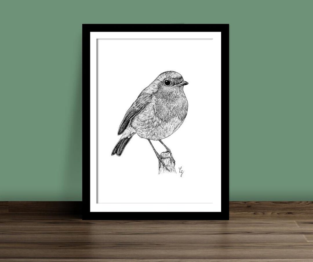 "robin" Poster - Etsy