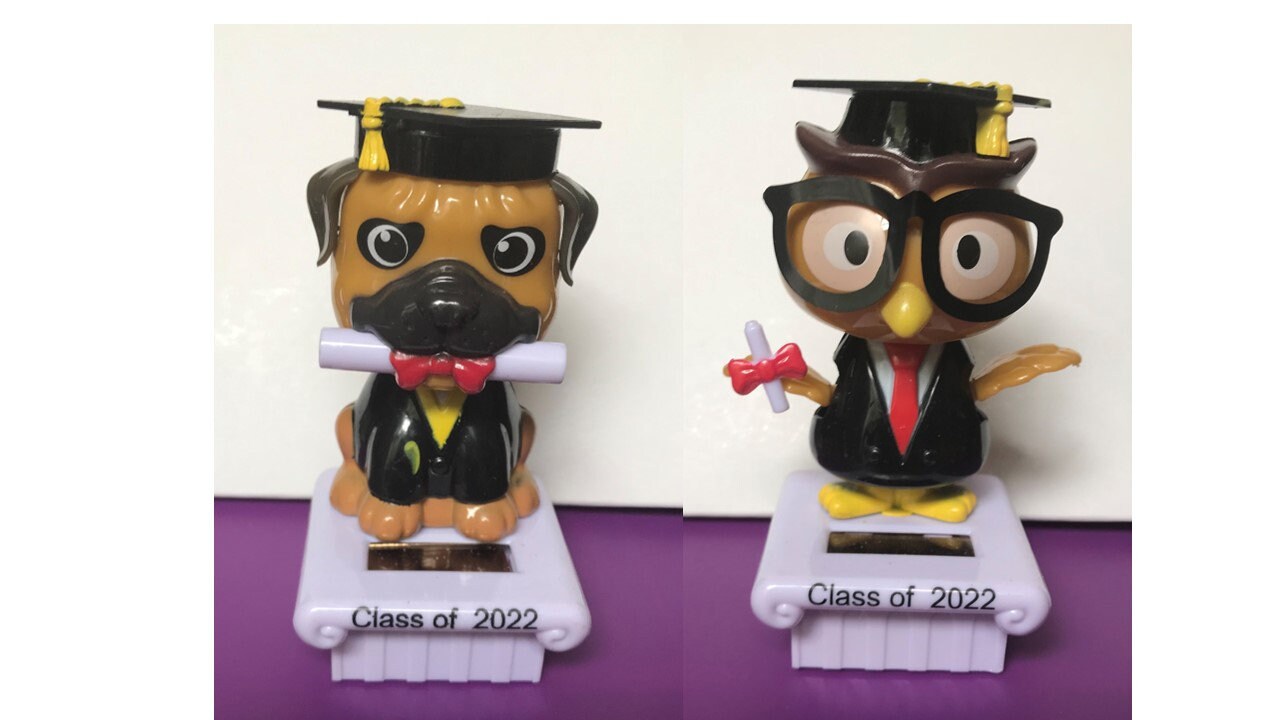 Solar Bobble Heads 2022 Graduation - Etsy