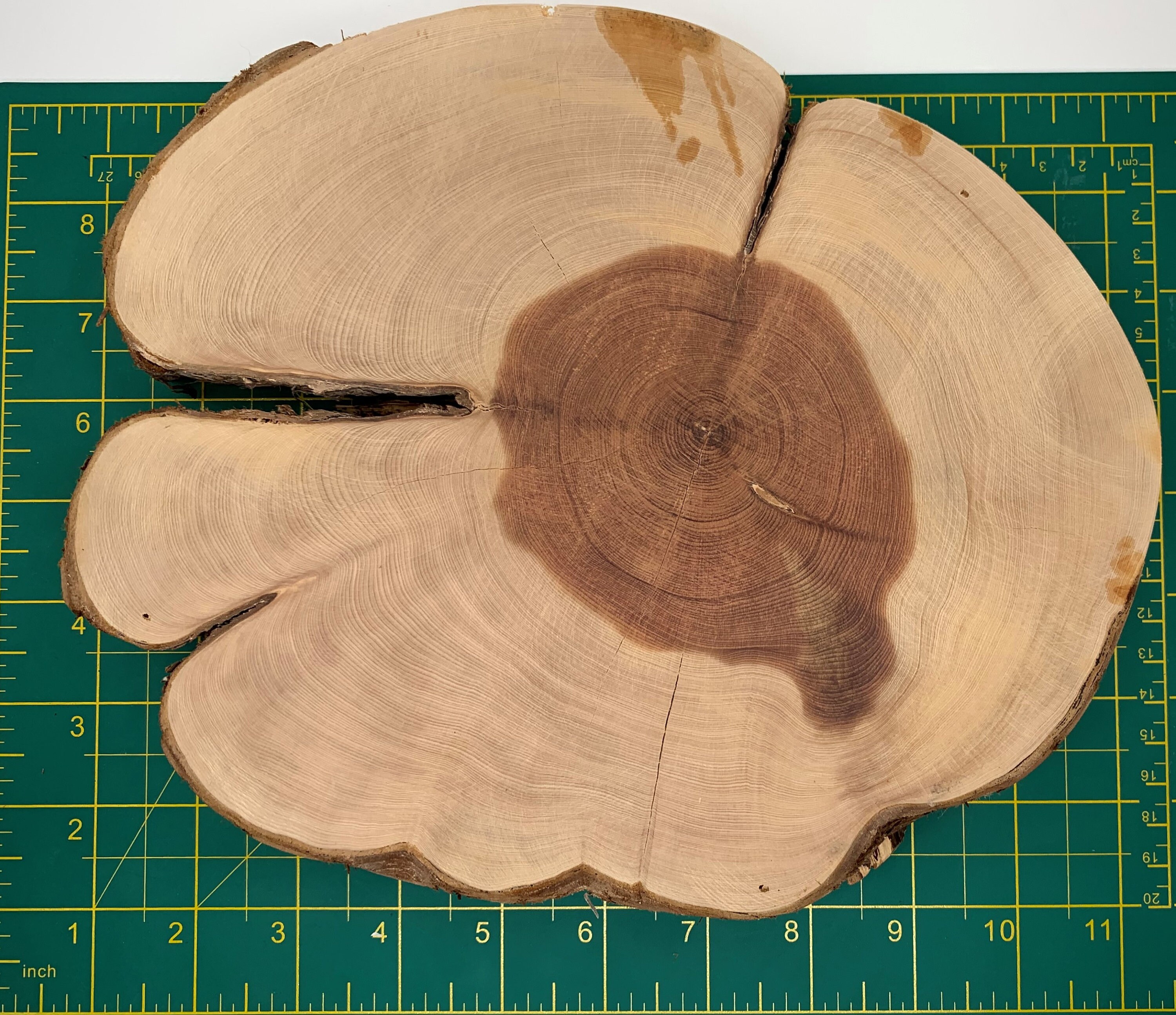 Cedar Wood Centerpieces Wood Round Rustic hand made | Etsy