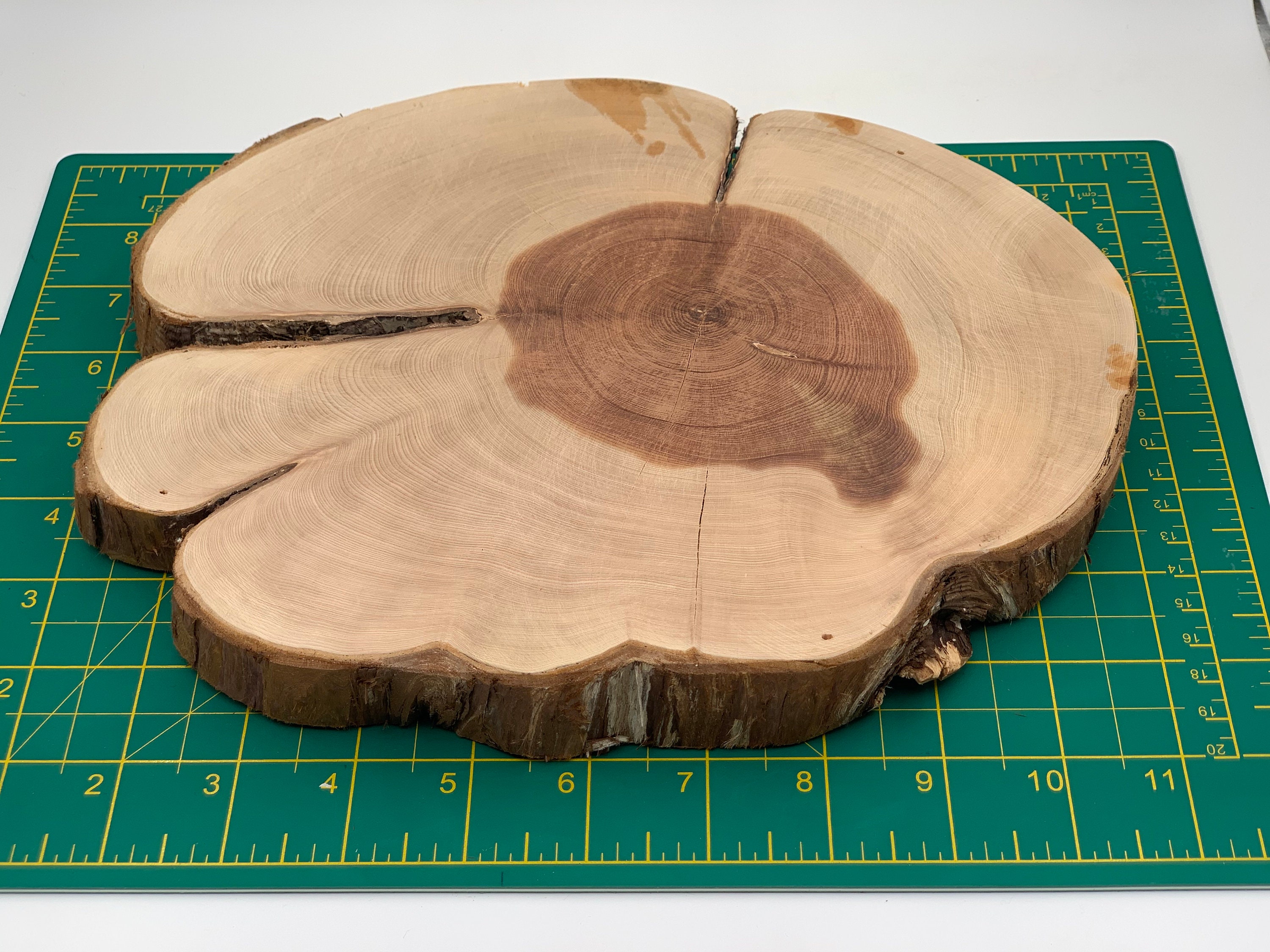 Cedar Wood Centerpieces Wood Round Rustic hand made | Etsy