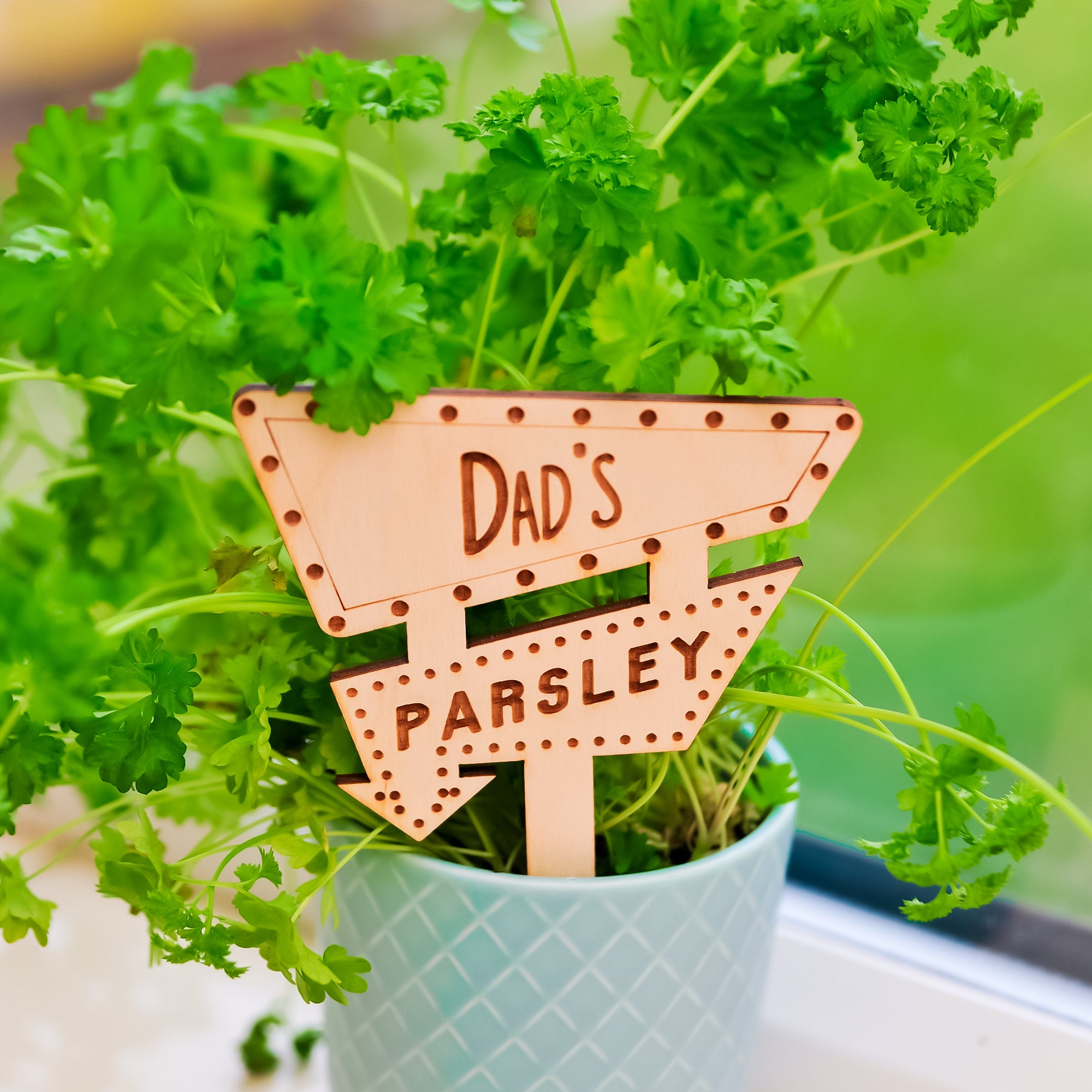 Wooden Plant Sign Retro Sign Garden Sign Herb Garden Marker | Etsy