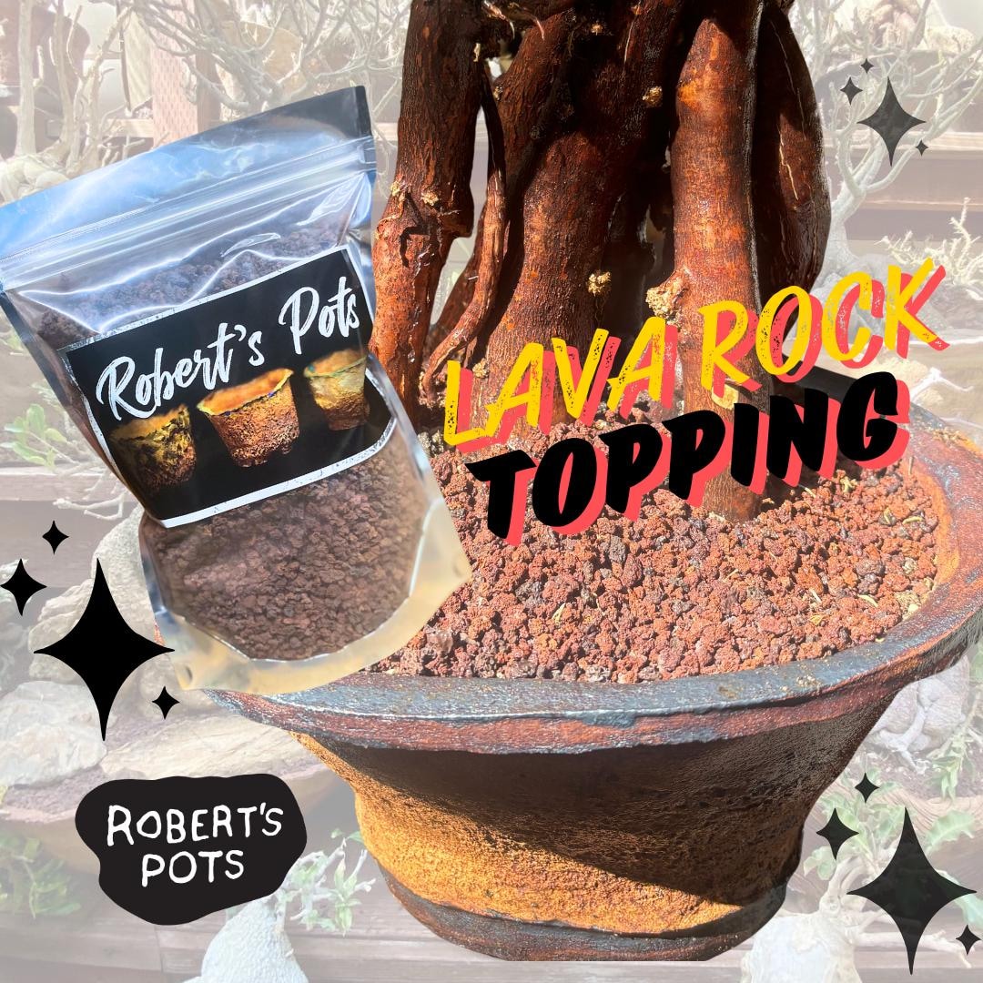 Crushed Lava Rock Topping, 3 Cup Bag, Free Shipping When Added to a Pot ...