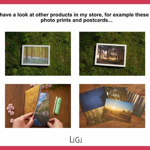 Postcards Autumn Leaves Fall Postcard Set Nature Photography Leaves ...