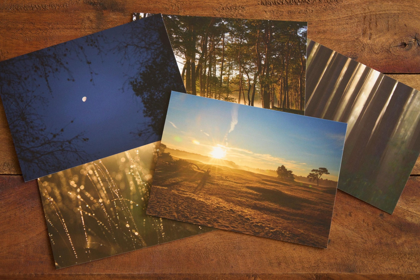 Postcards | Postcard Set | Nature Photography | Moody Colourful Dutch ...