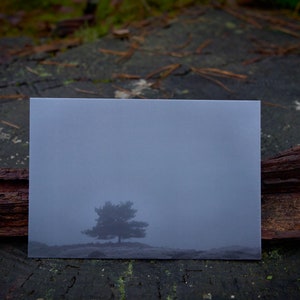 Postcards Winter Vibes Nature Snow Frost Postcard Set Nature ...