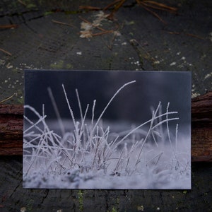 Postcards Winter Vibes Nature Snow Frost Postcard Set Nature ...