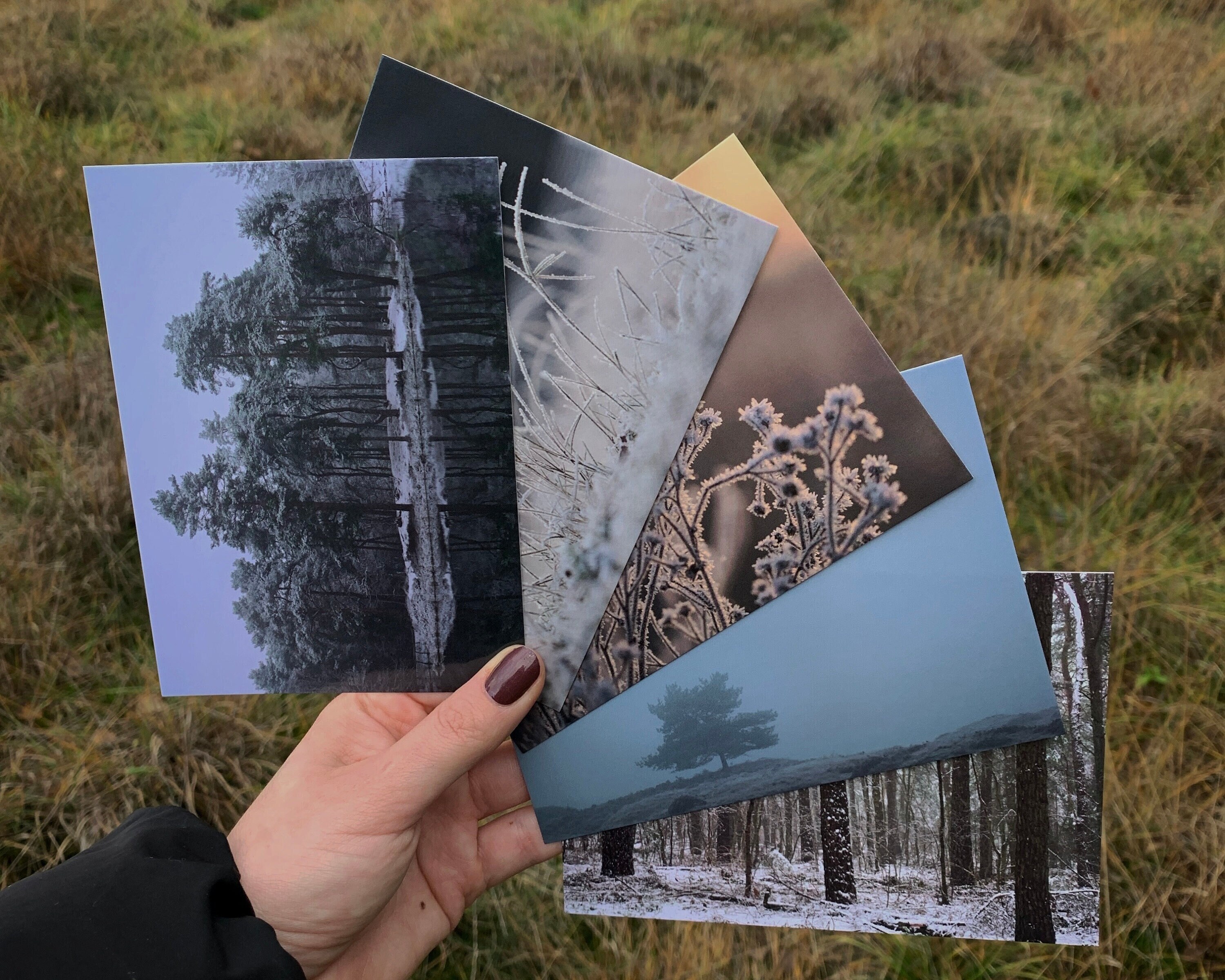 Postcards Winter Vibes Nature Snow Frost Postcard Set Nature ...