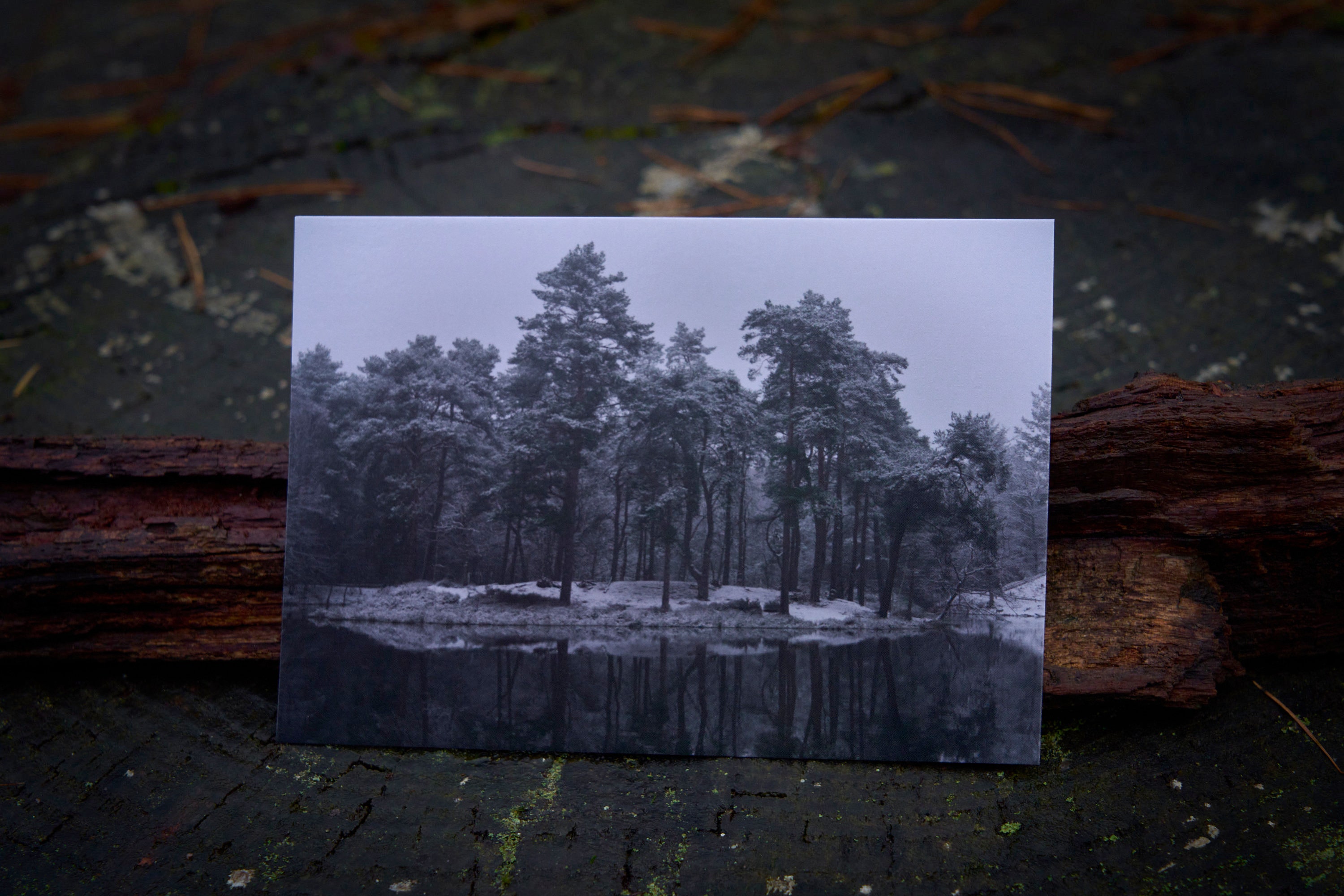 Postcards Winter Vibes Nature Snow Frost Postcard Set Nature ...