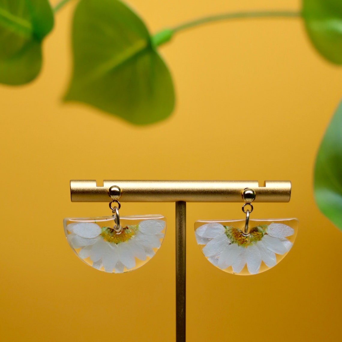 Half Daisy Dangles Real Pressed Daisy Earrings Gold Ball | Etsy