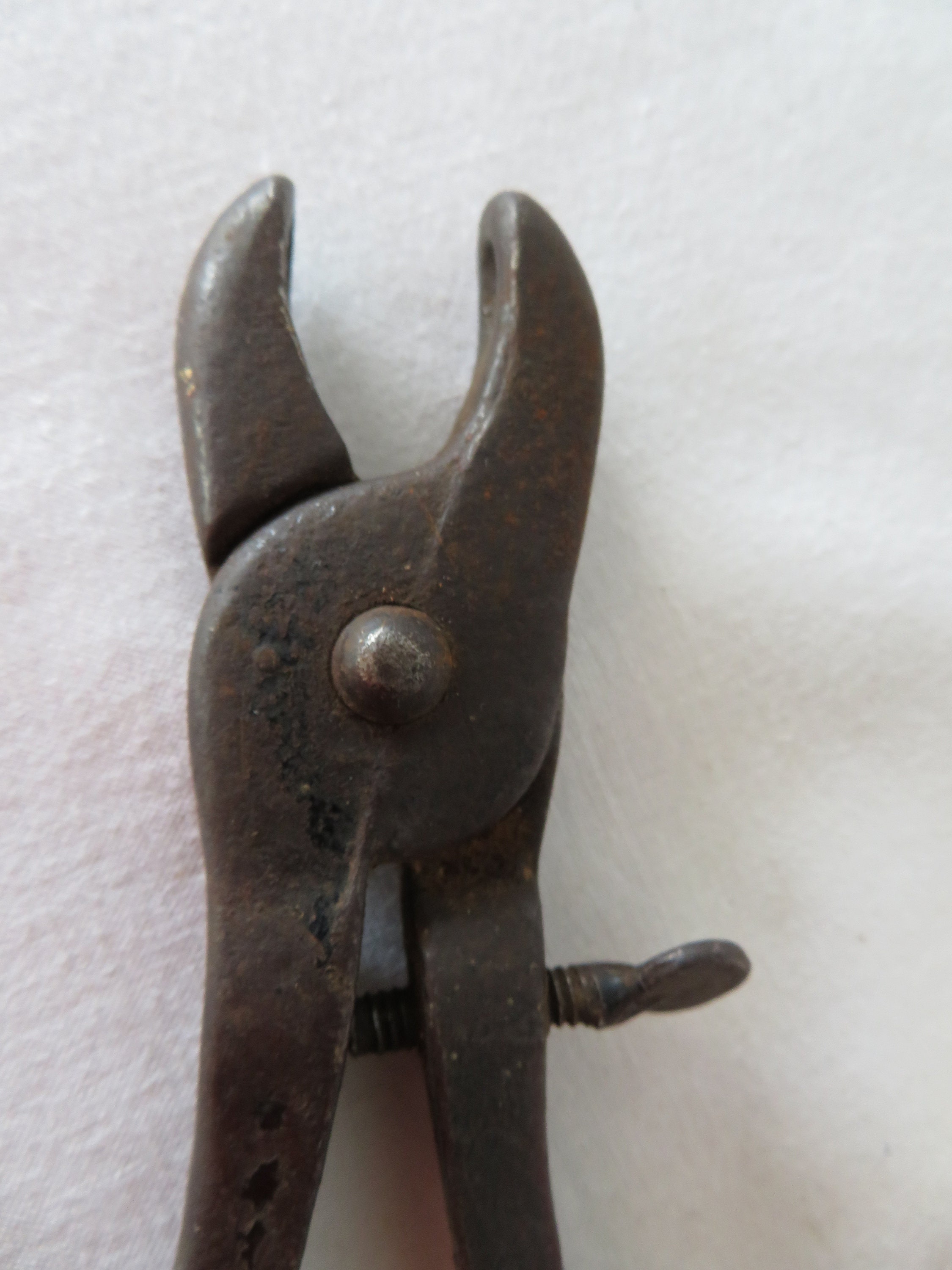 Hog Ring Pliers and Box of Seymour Pig Rings From the - Etsy
