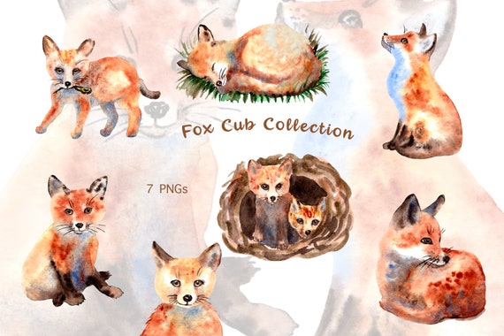 Watercolour Cute Fox Cubs Clip Art PNG Files Set Collection | Etsy