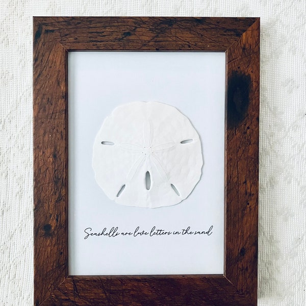 Sand Dollar Art - Etsy