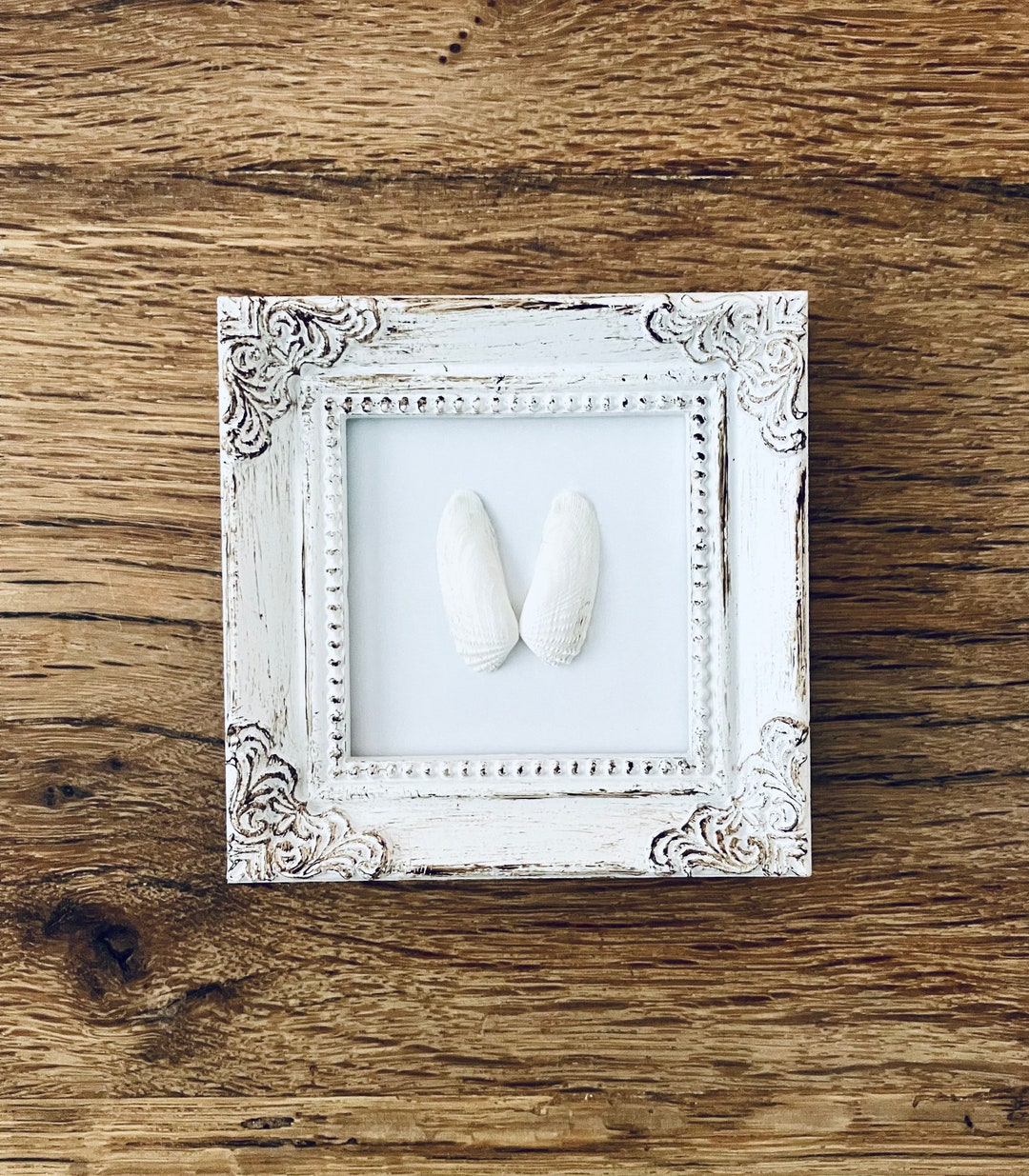 Angel Wing Shell Art Framed Angel Gift Coastal Decor - Etsy