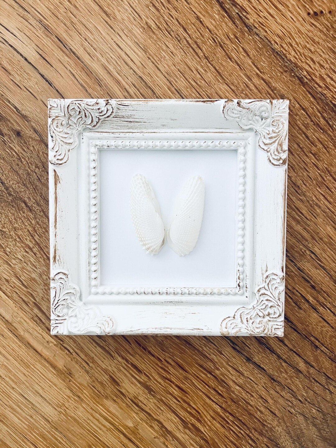Angel Wing Shell Art Framed | Angel Gift | Coastal Decor - Etsy