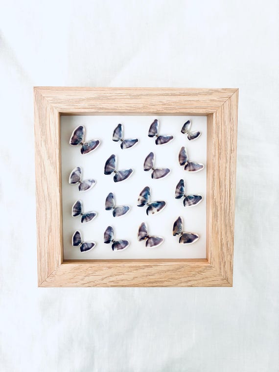 Coquina Shell Art