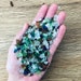 Sea Glass Succulent Art: Framed Beach Decor, Plant Lover Gift - Etsy