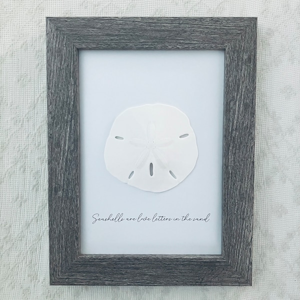 Sand Dollar Art - Etsy