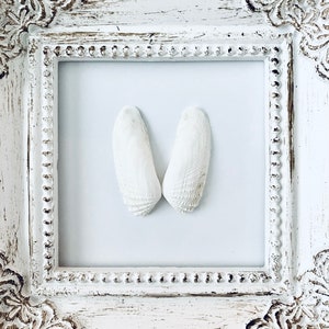 Angel Wing Shell Art Framed Angel Gift Coastal Decor - Etsy