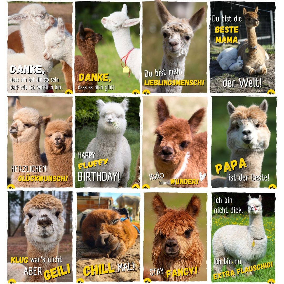 Alpaca Postcard thank You, Funny, Saying, Photo Postcard, Greeting Card ...