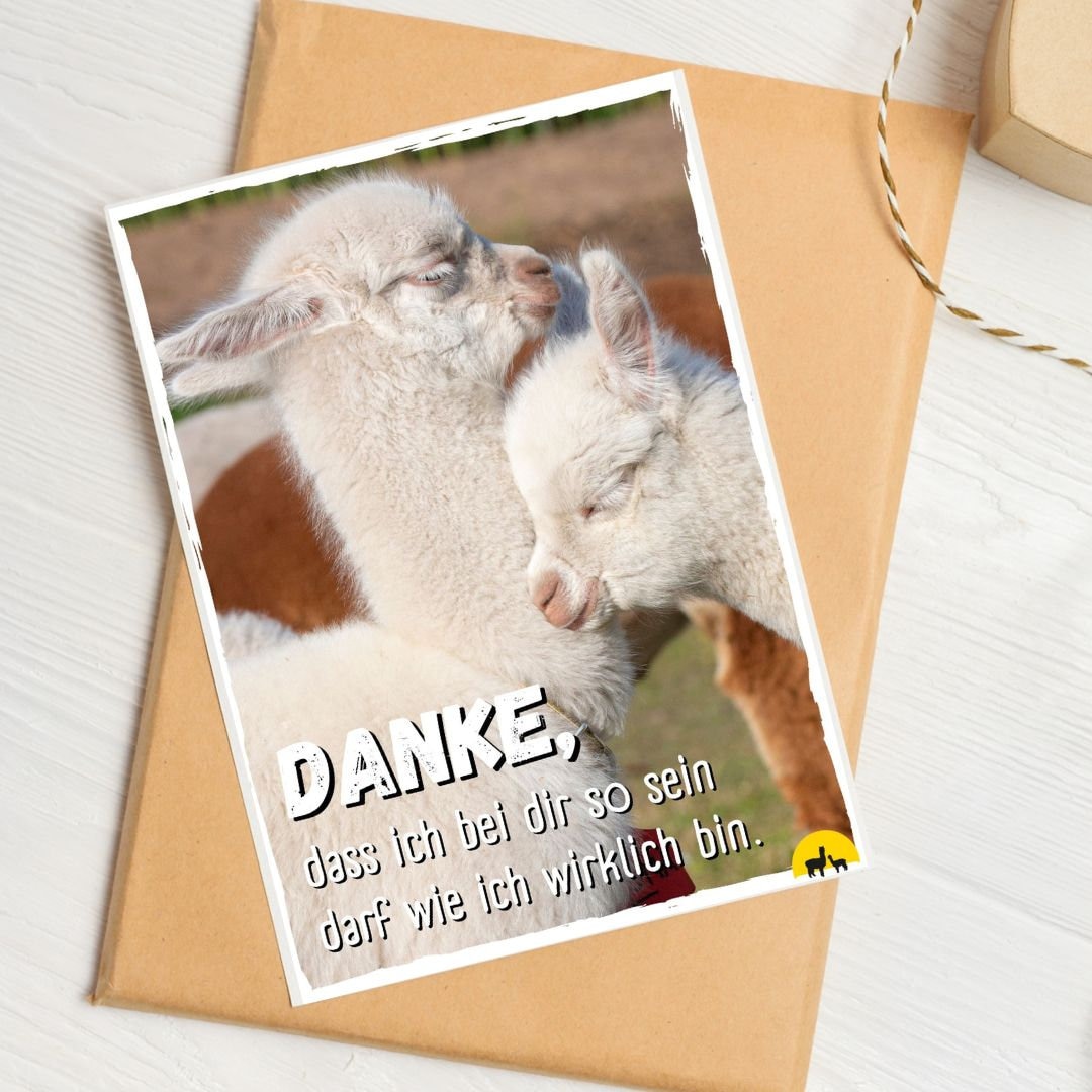Alpaca Postcard thank You, Funny, Saying, Photo Postcard, Greeting Card ...