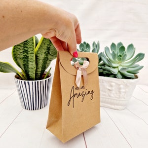 Ribbon Tie Kraft Paper Gift Bags. You Are Amazing-birthday, Wedding ...