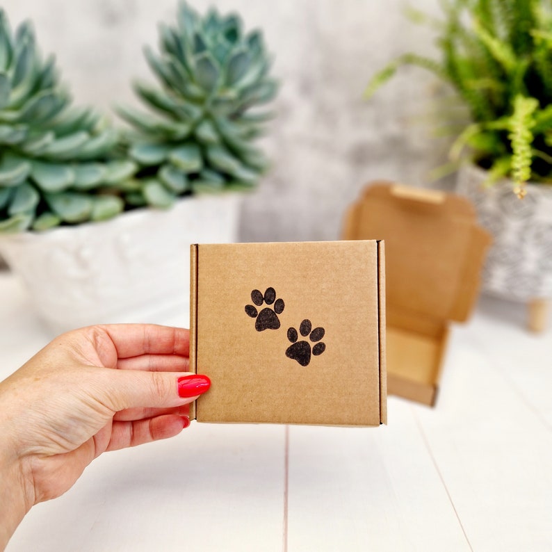Paw Print Empty Kraft Gift Box. Cute Hand-stamped Cardboard Packaging ...