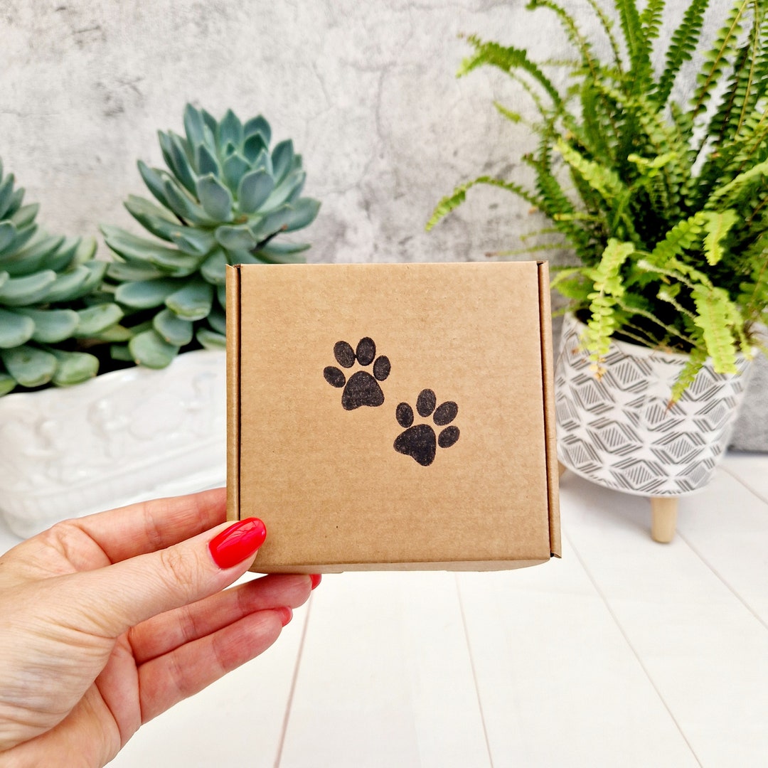 Paw Print Small Kraft Empty Gift Box. Letterbox Mini PIP Cardboard ...