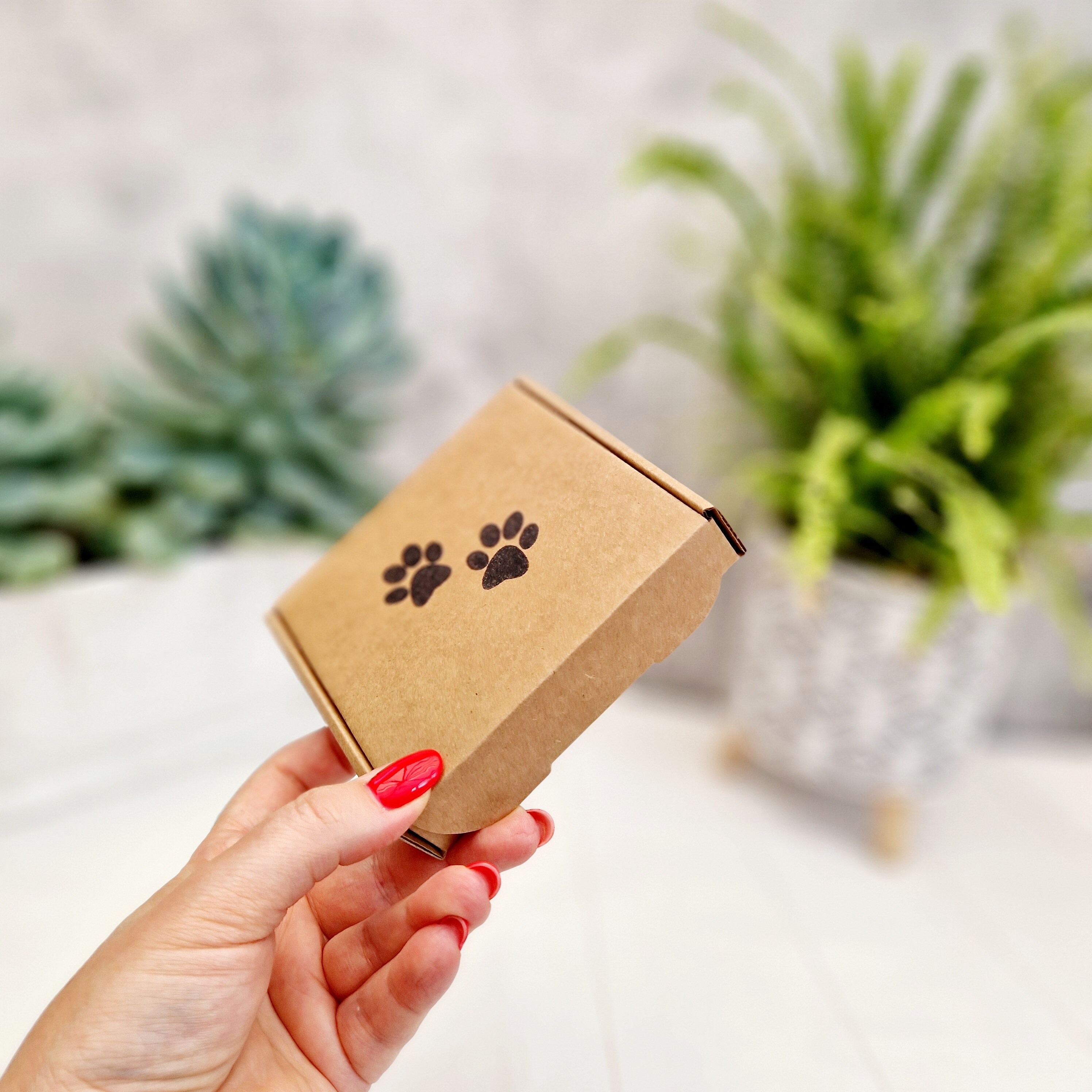 Paw Print Small Kraft Empty Gift Box. Letterbox Mini PIP Cardboard ...