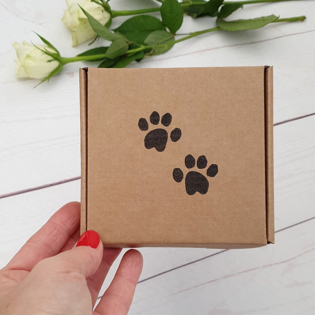 Paw Print Small Kraft Empty Gift Box. Letterbox Mini PIP Cardboard ...