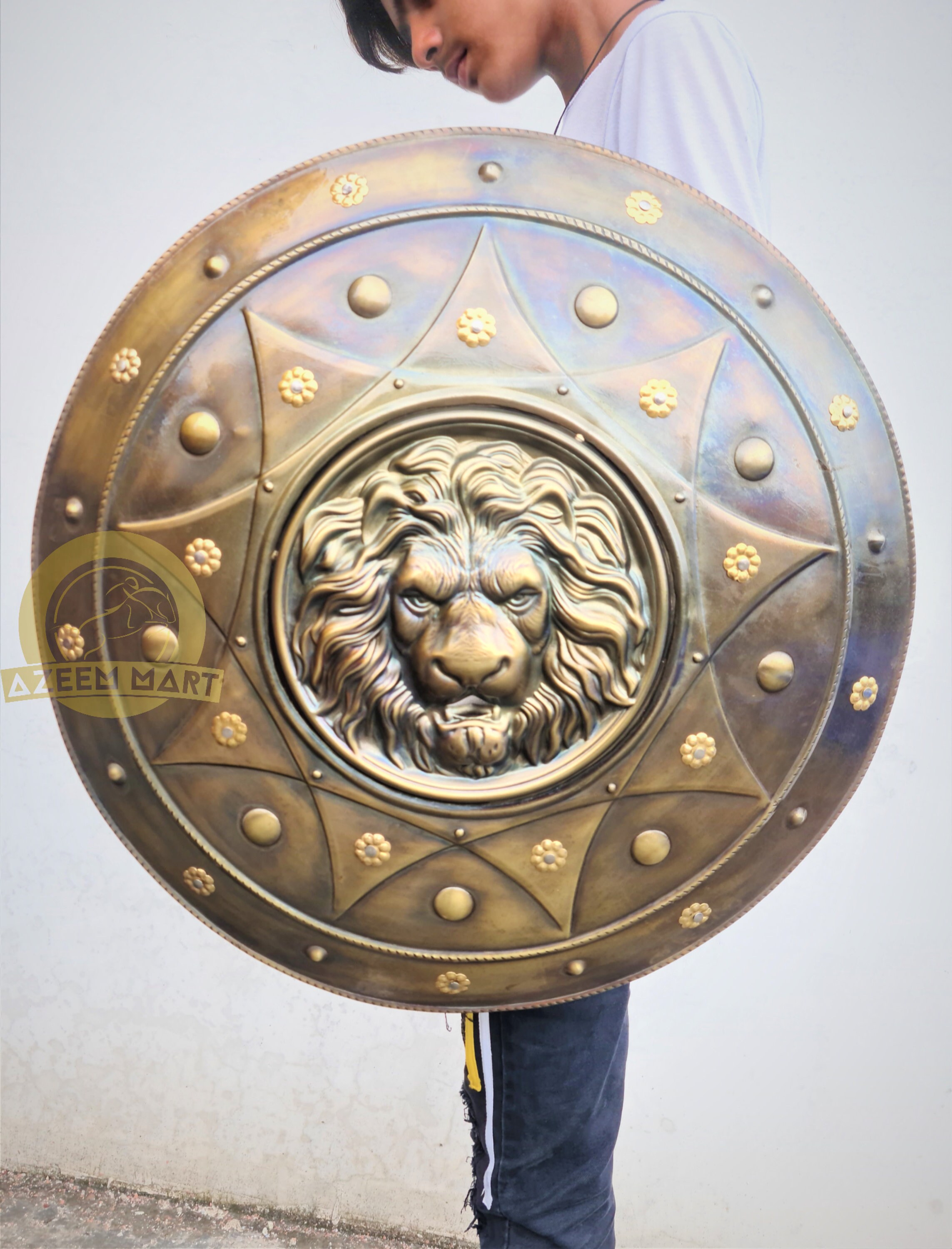 Medieval Lion Head Round Shield 22 Inches Round Steel - Etsy