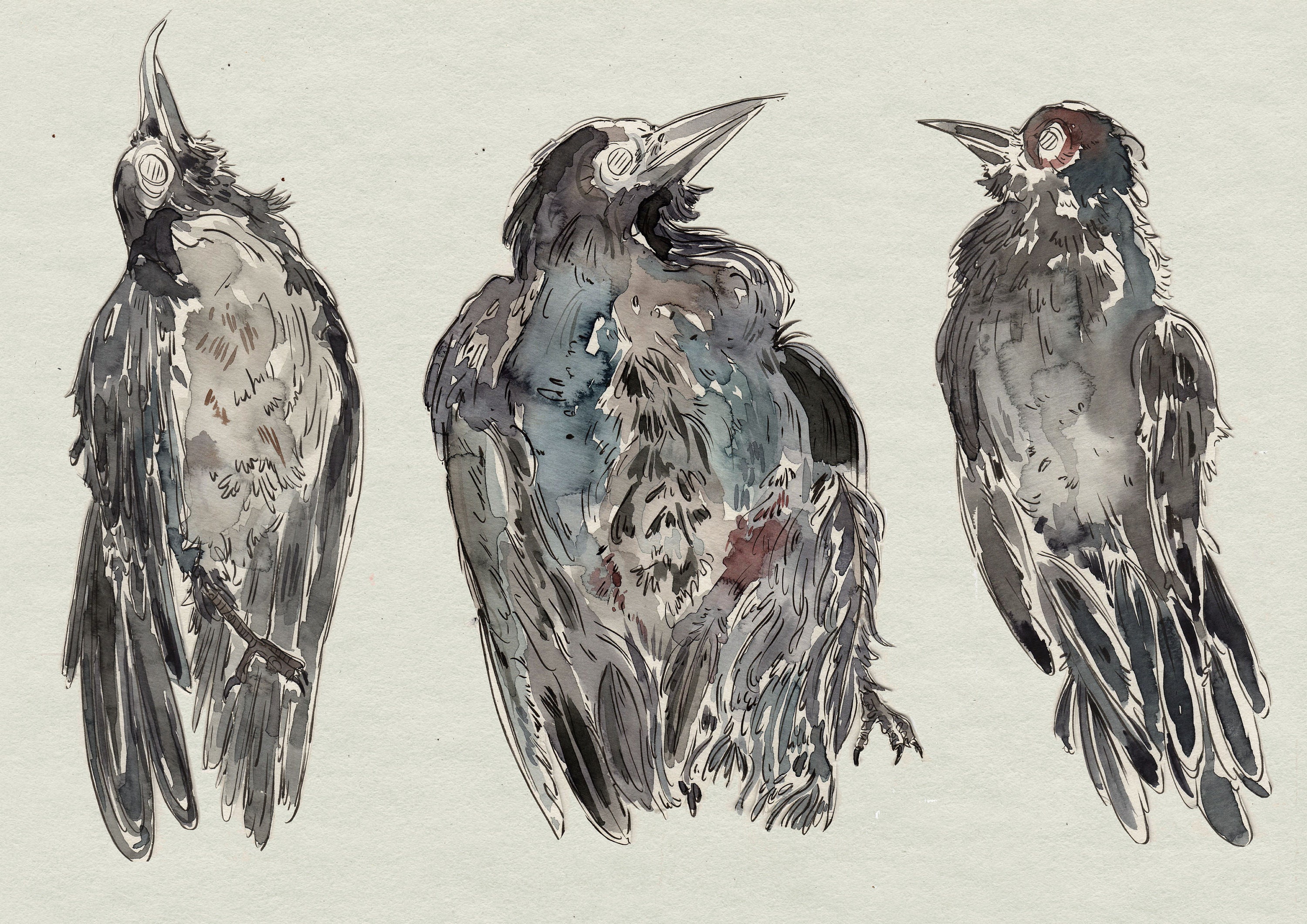 Dead Crows Bird Print / Gothic Illustration / Watercolour - Etsy UK