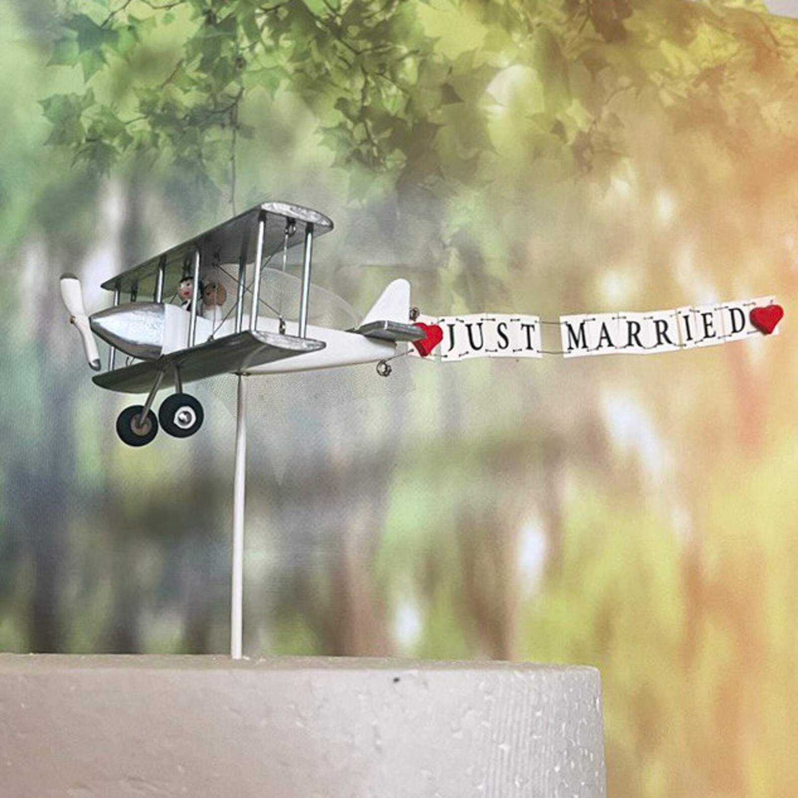 Silver Wedding Airplane Cake Topper With Custom just - Etsy