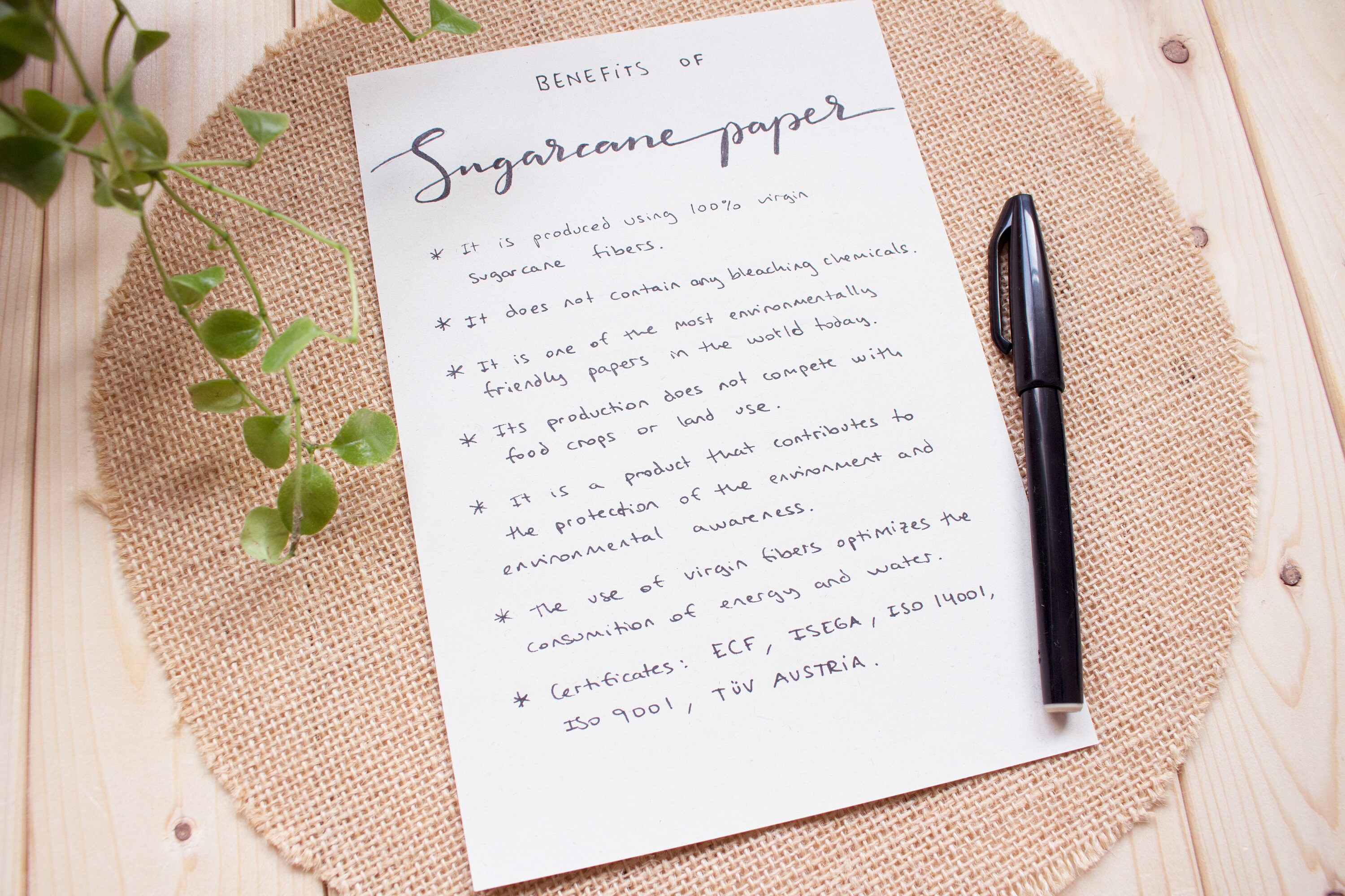 Natural Bookmark Made From Sugarcane Paper Set of 15 Soft - Etsy