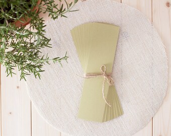 Olive Tree Party Favors - Etsy