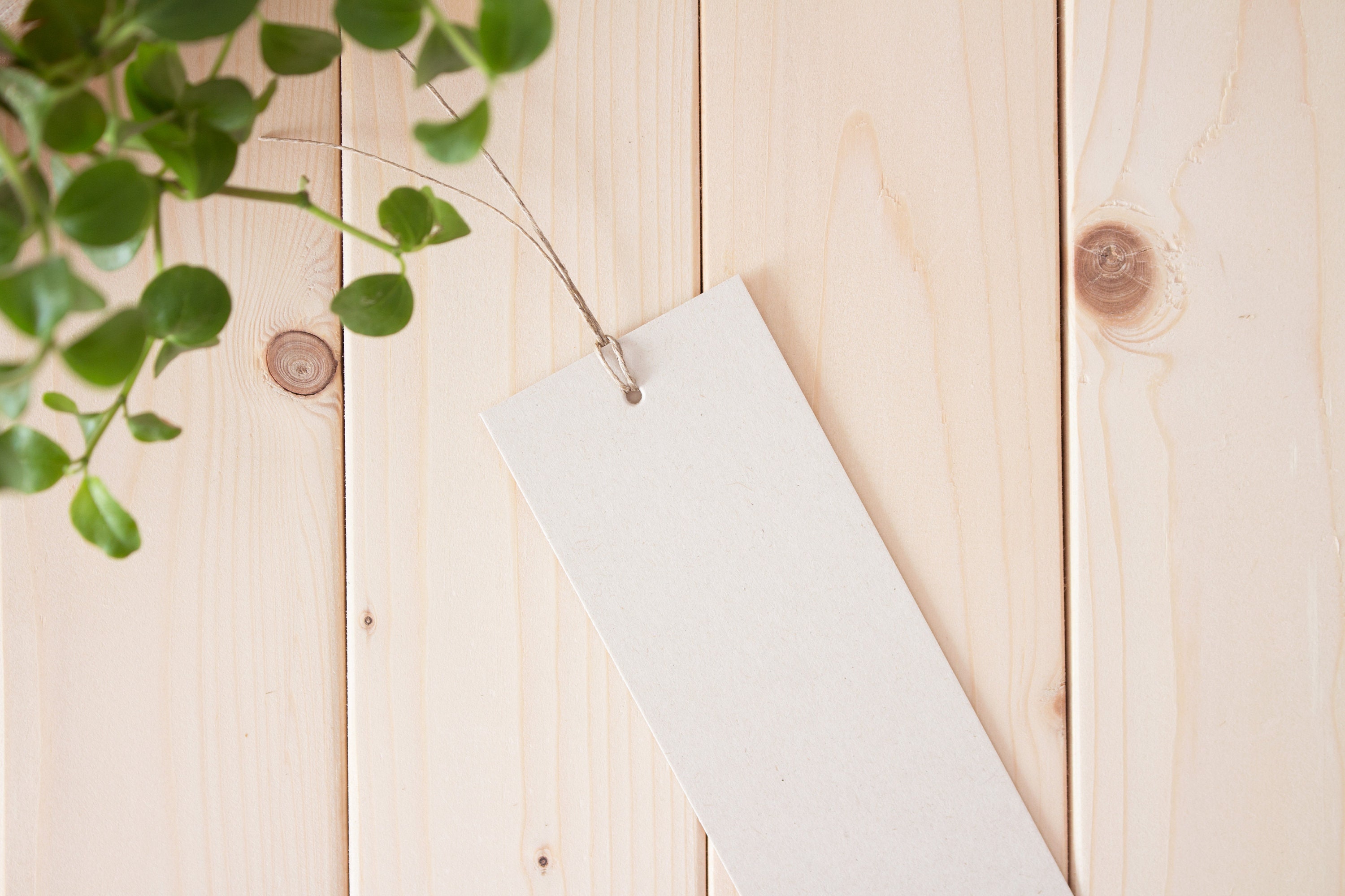 Natural Bookmark Made From Sugarcane Paper Set of 15 Soft - Etsy