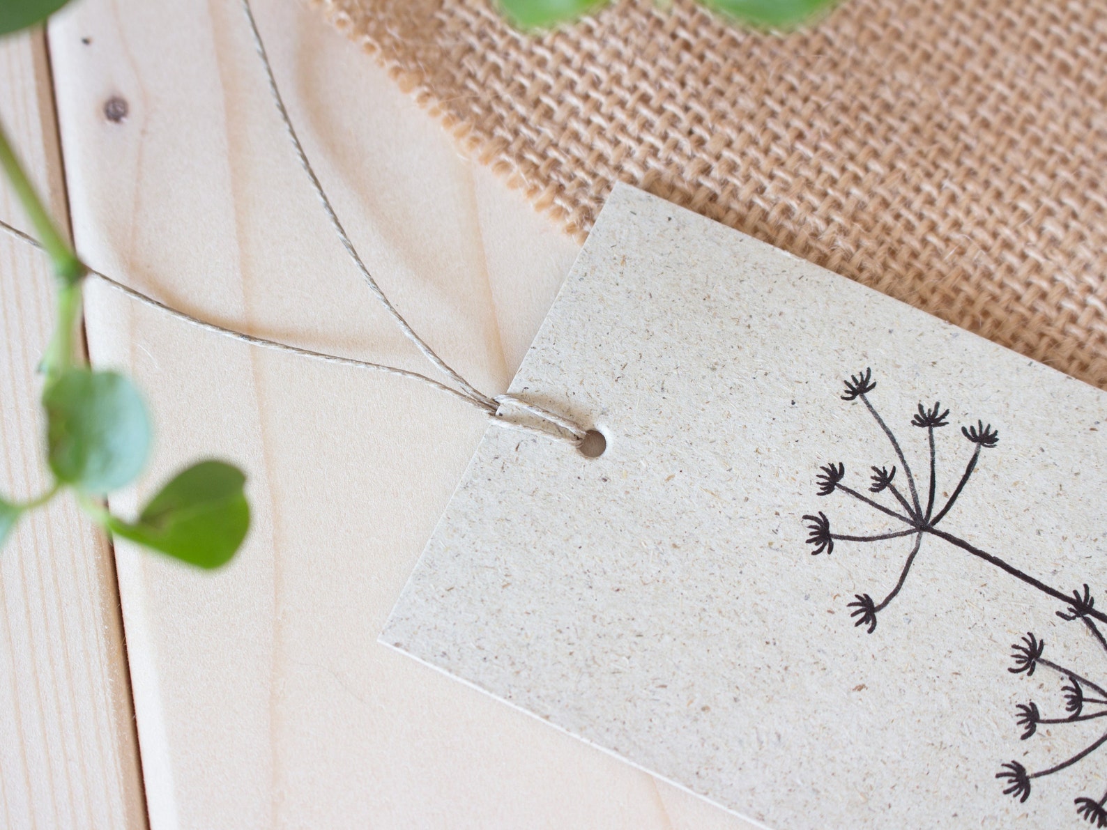 Eco-friendly Bookmark of Grass Paper Environmentally Friendly - Etsy