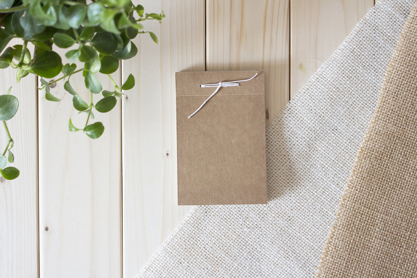 Notepad Made From Eco-friendly Papers, Sample Board of Sustainable ...