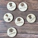Wooden Organisation Labels for Drawers or Toy Box Sorting Labels - Etsy