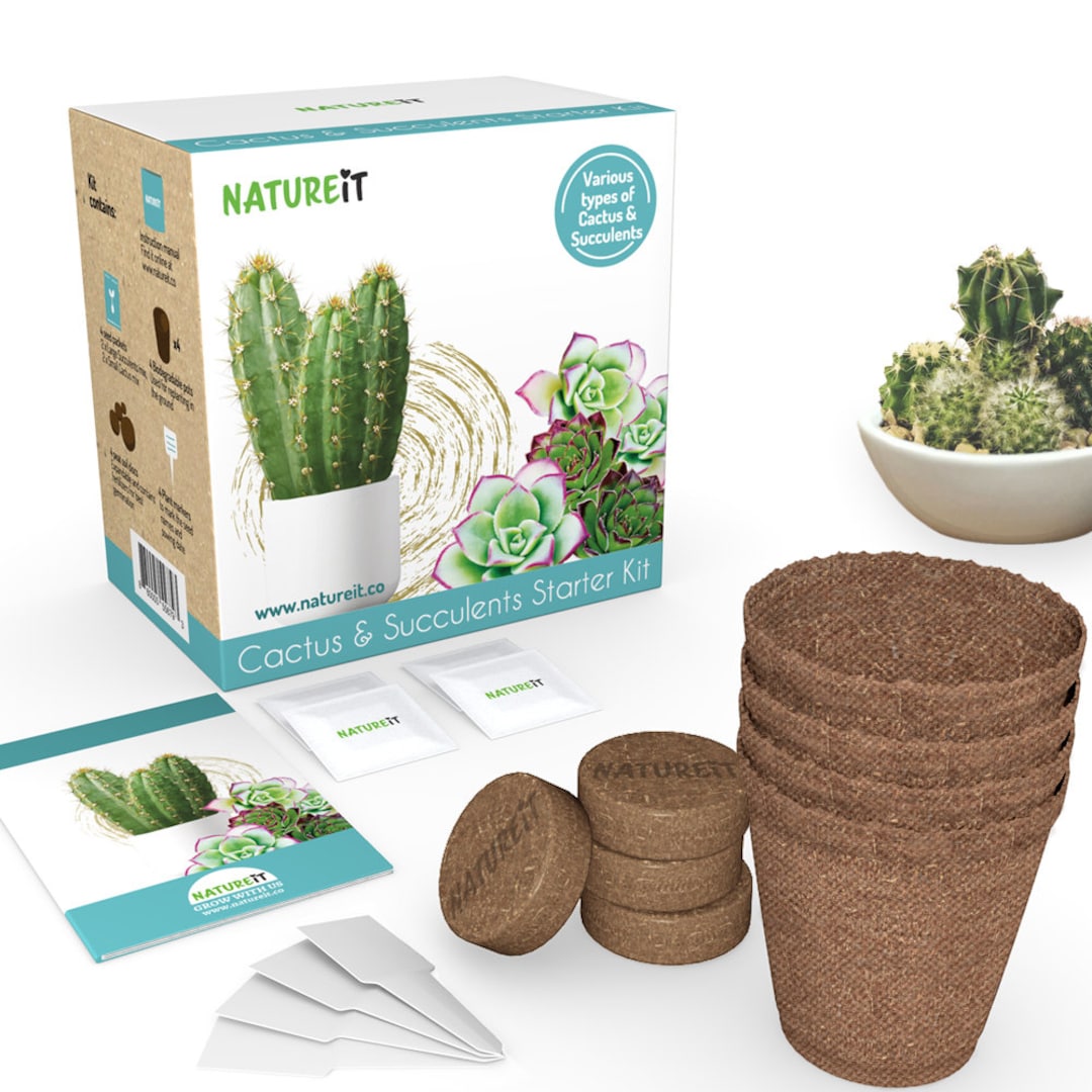 Cactus and Succulents Seed Starter Kit. Everything Needed to Grow an ...