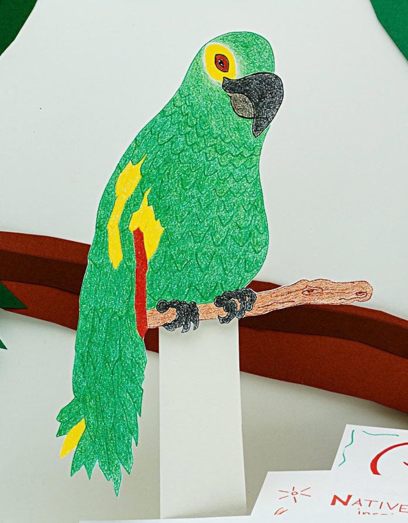 Polly Parrot Paper Doll, Printable Download - Etsy