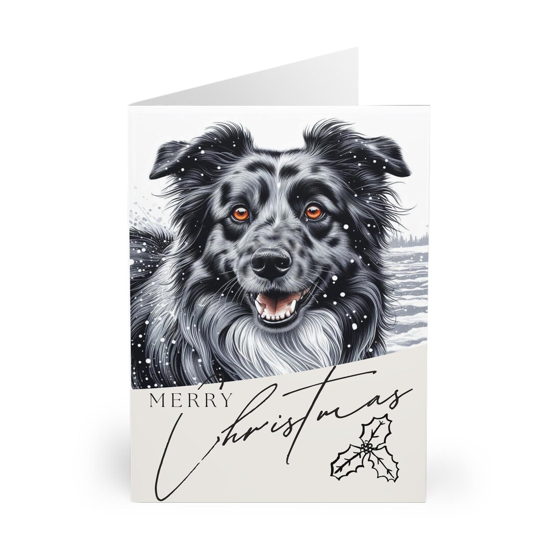 THE FERGUS Border Collie Greeting Cards 5 Pack Blue Merle Snow Scene ...