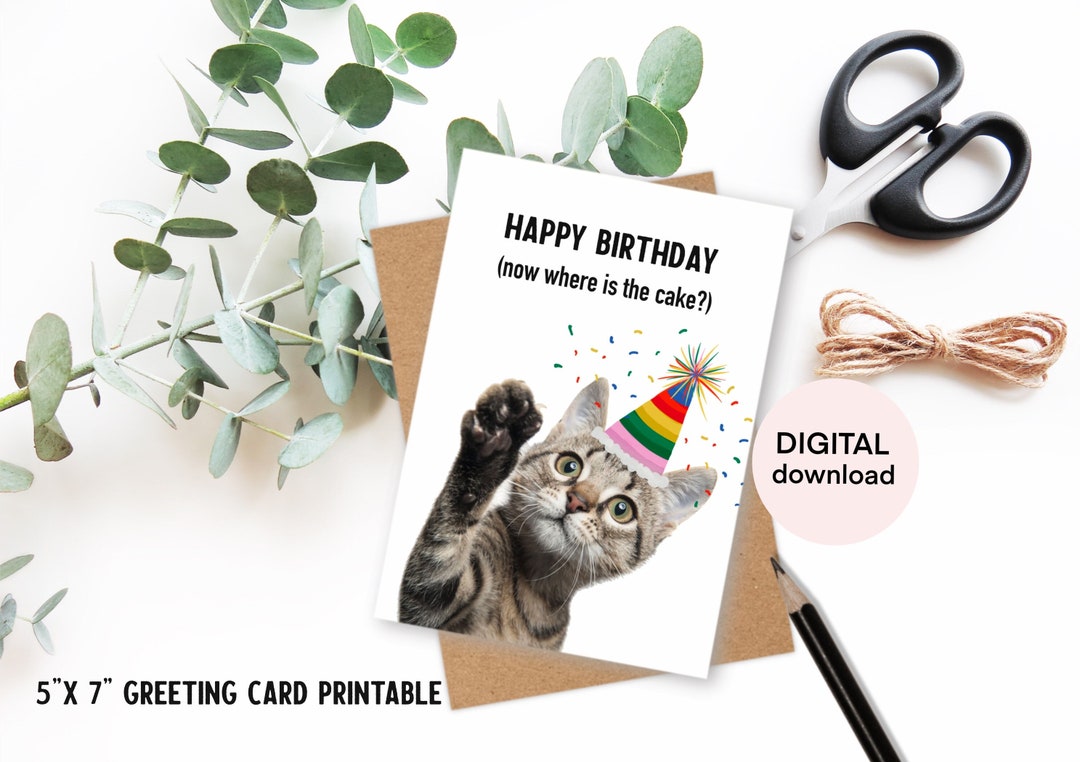 Funny Animal Birthday Card Cat Printable Birthday Card Funny - Etsy