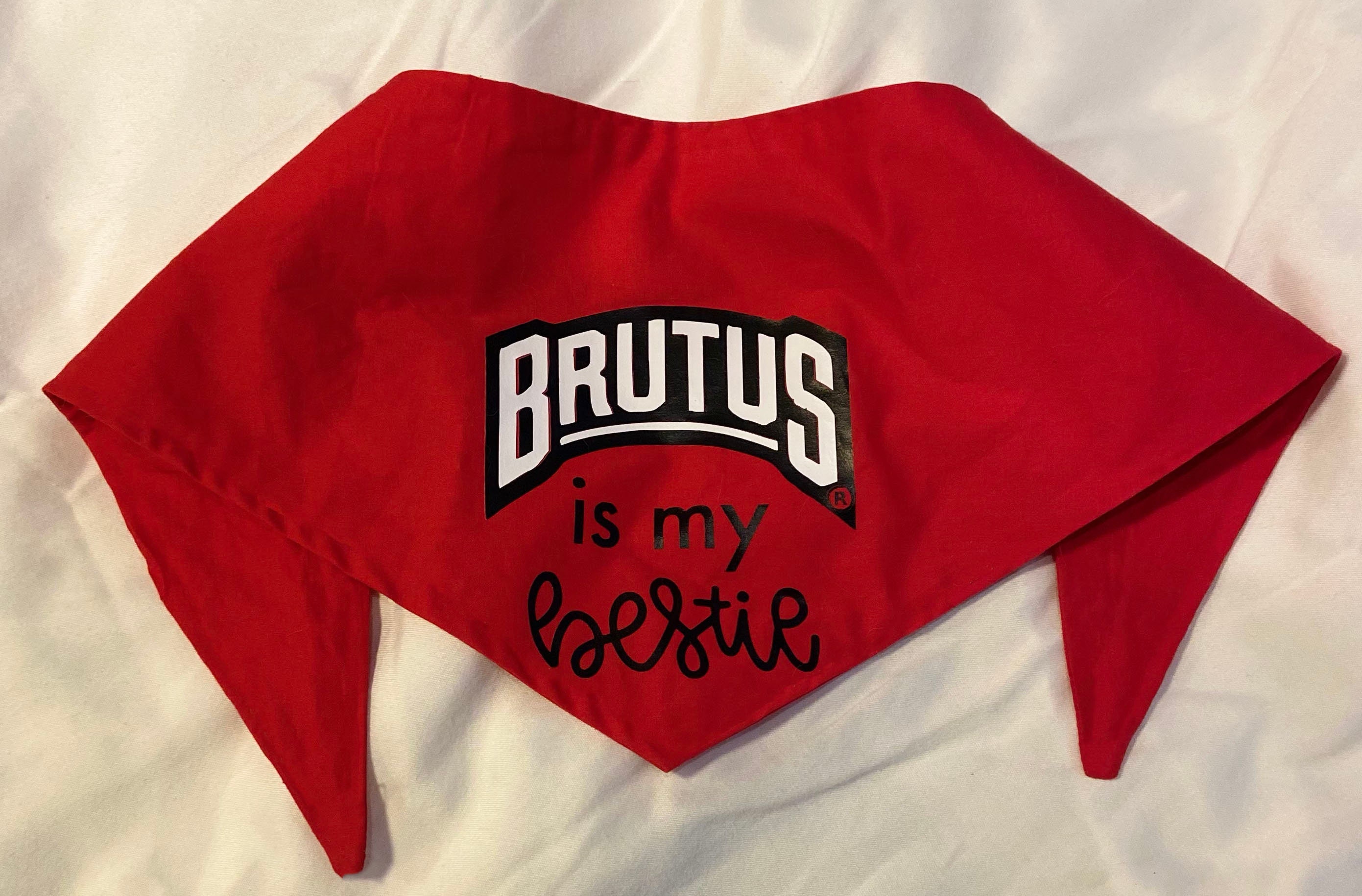 The Ohio State University Dog Bandana buckeye Bandana Brutus Officially ...