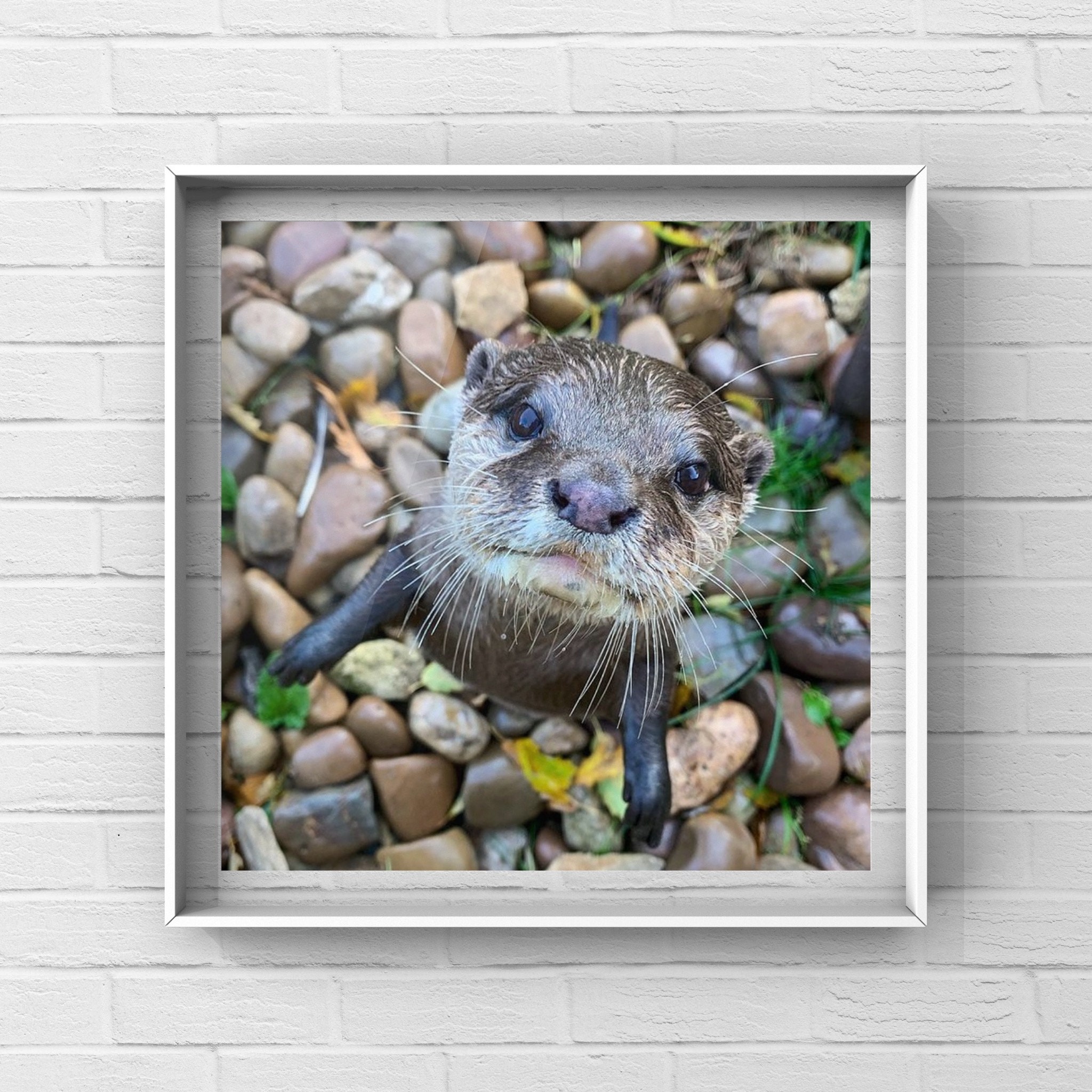 Prints Wildlife Photography Winter Print Animals In Water Instant ...