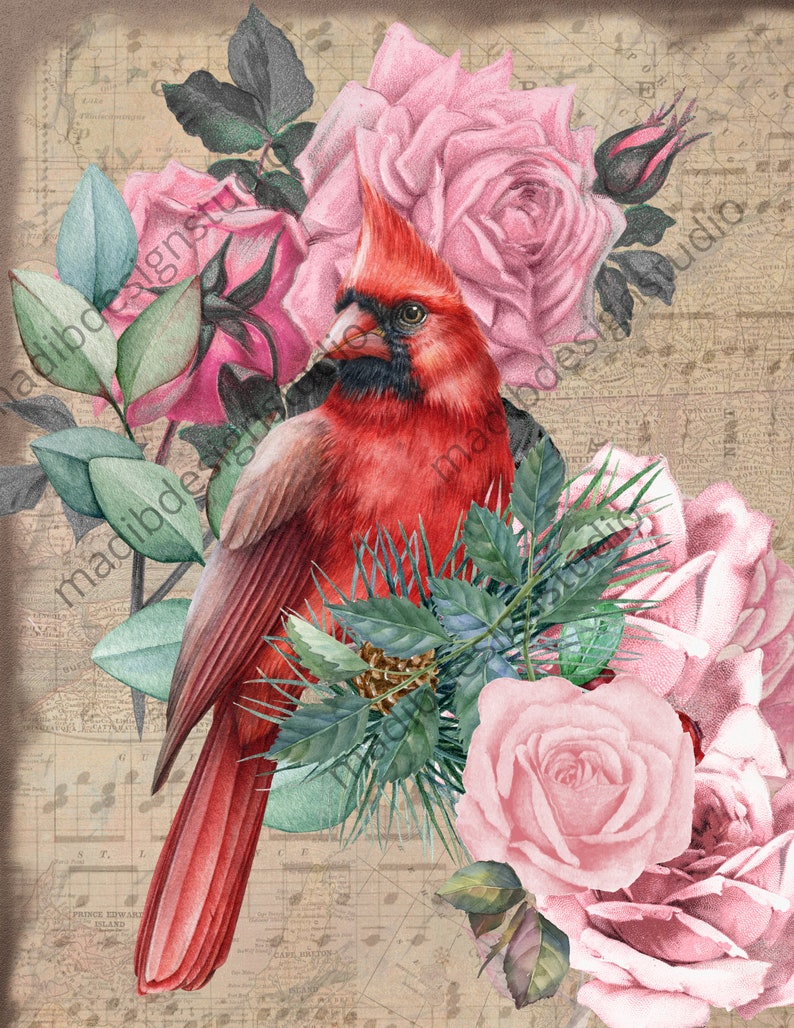 Cardinal Decoupage Paper Printable Red Bird Png Cardinal and - Etsy